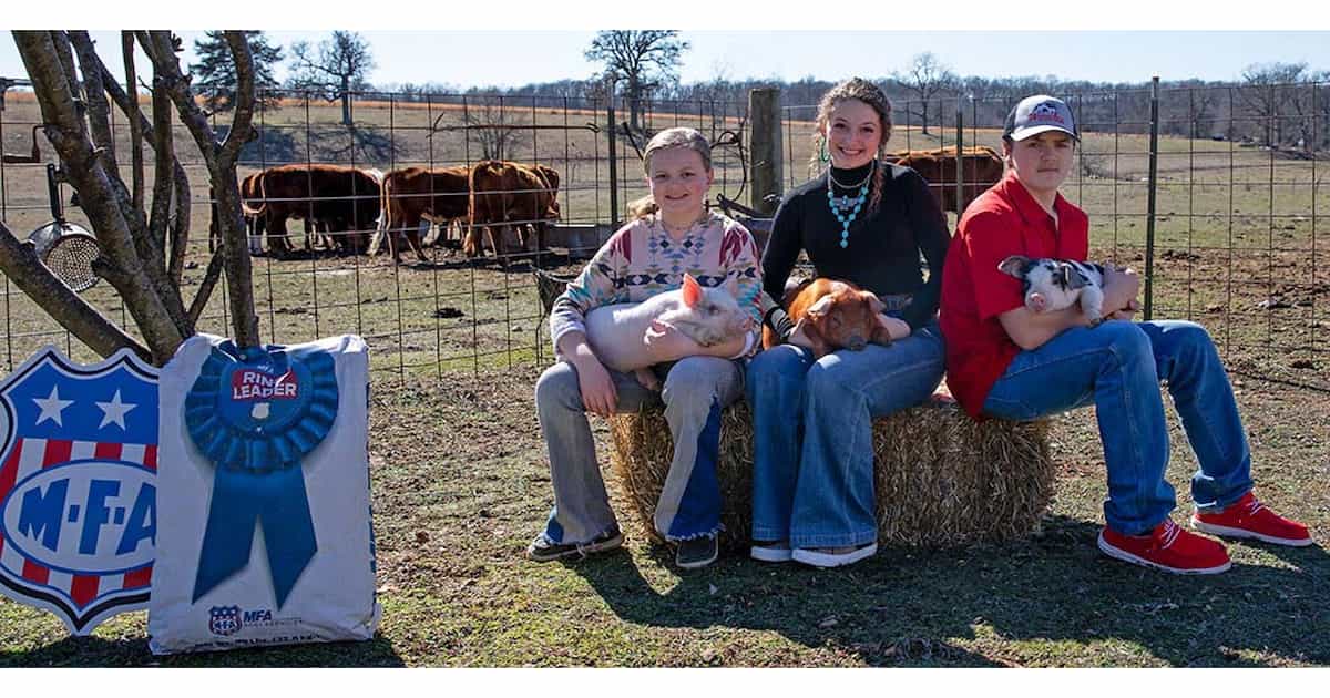 Show Feeds | MFA-inc.